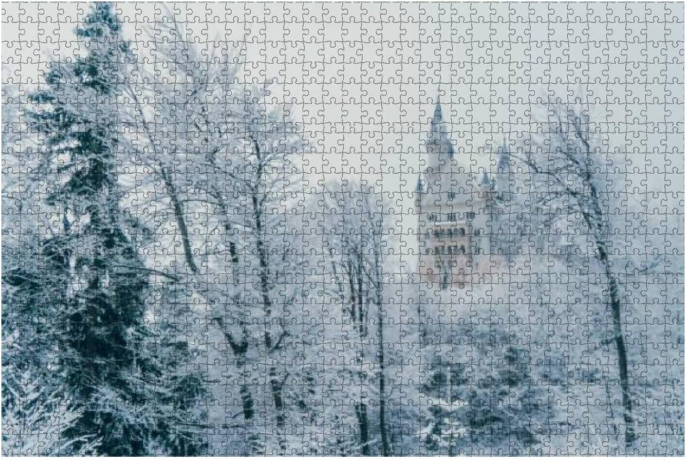 Puzzles 1000 Front a Window - Fun Interactive Brain Teaser Jigsaw ...