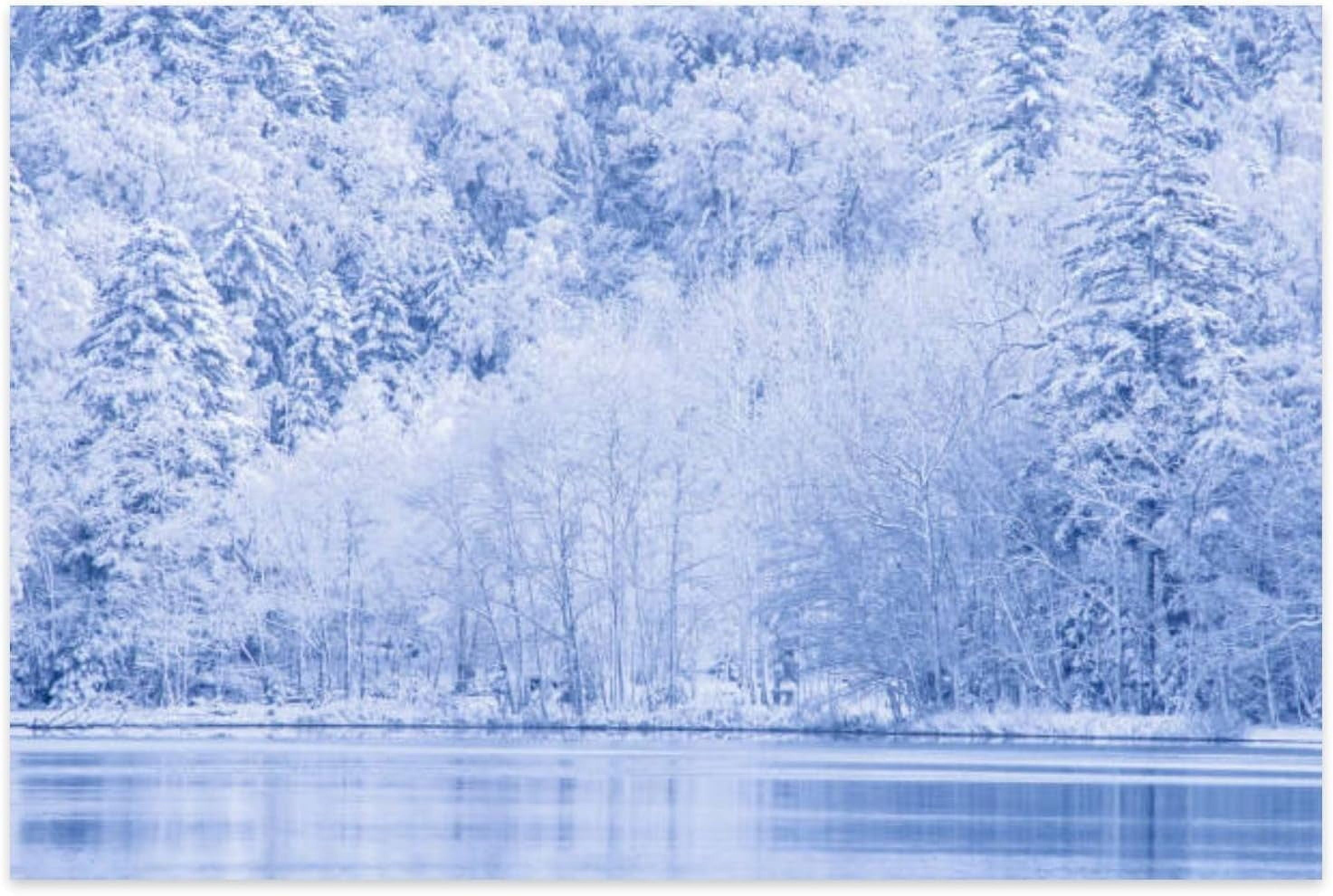 Puzzles 1000 Piece Very Beautiful Trees Completely Covered Frost ...