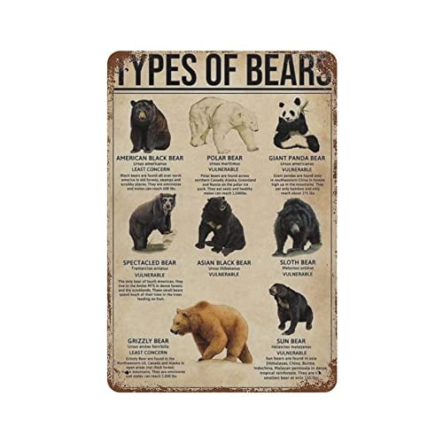 Puzzles 300 PCS Types of Bear Knowledge Poster Iron Paing Kids Toy ...