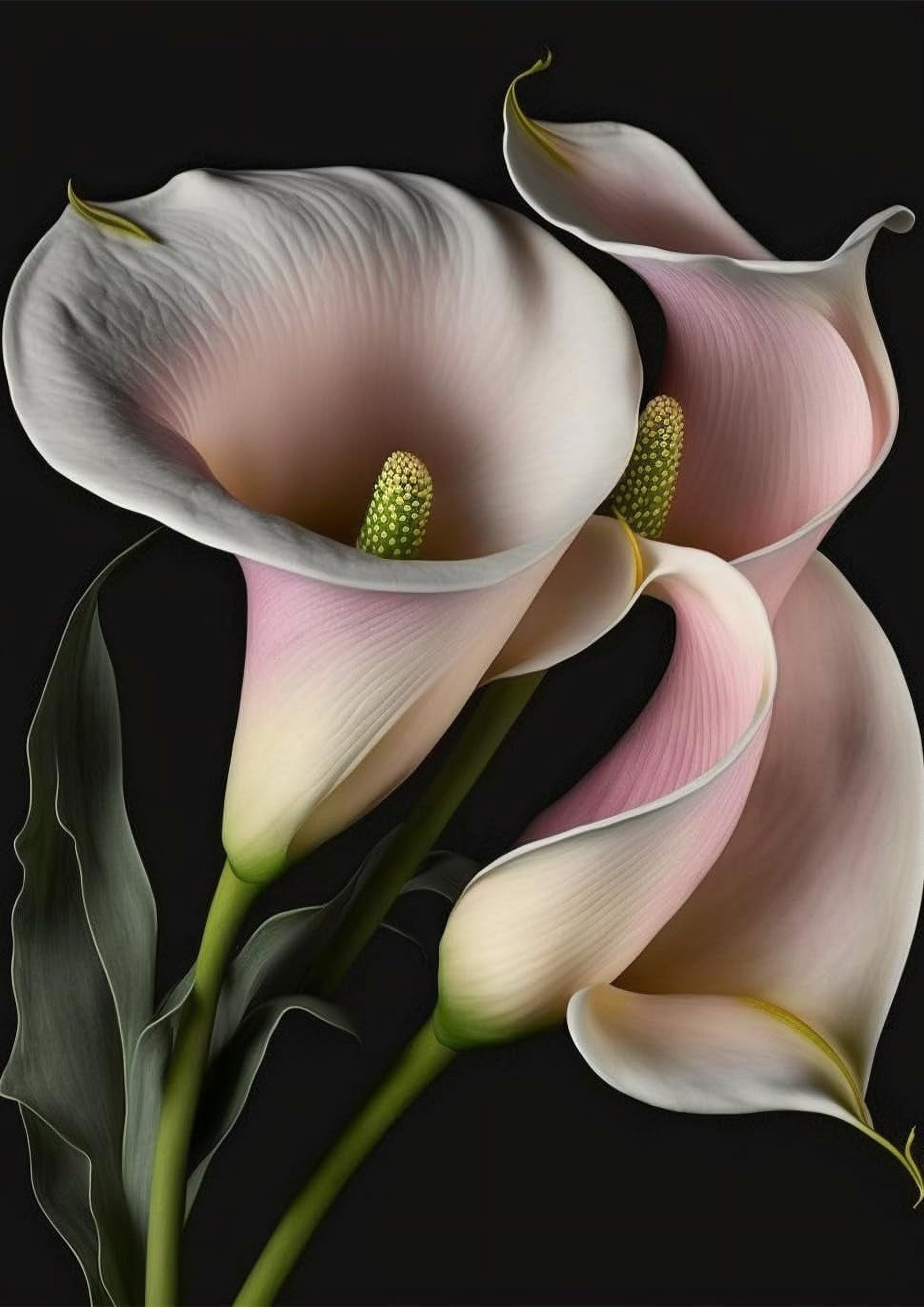 Puzzles 500 Piece Calla Lilies - Fun Interactive Brain Teaser Jigsaw ...