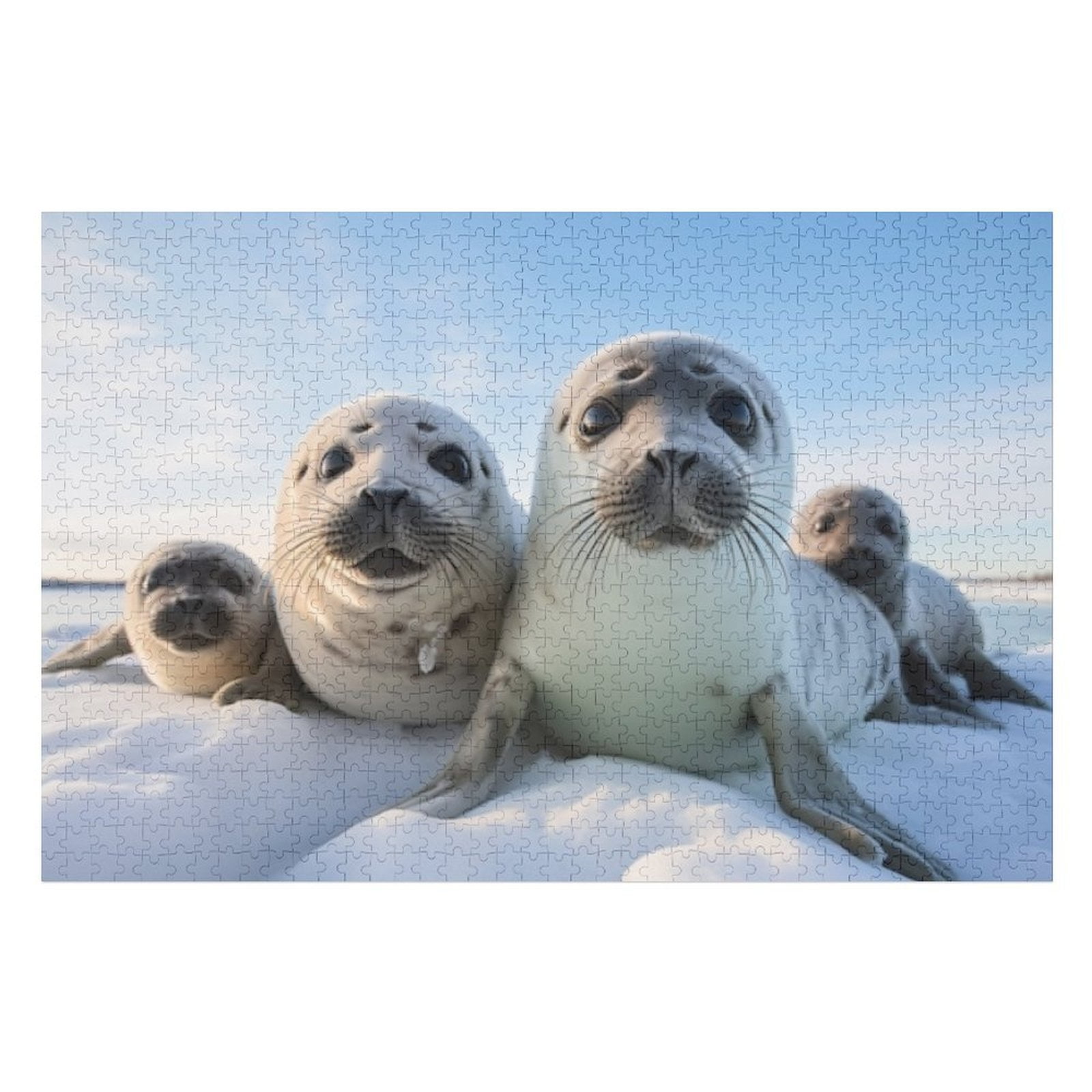 Puzzles for Adults 1000 Pieces - Some Lovely Seals Are On The Ice And ...