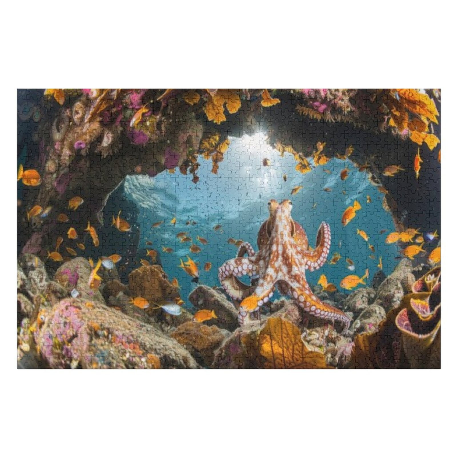 Puzzles for Adults 1000 Pieces - Octopus Its Natural Underwater Habitat ...