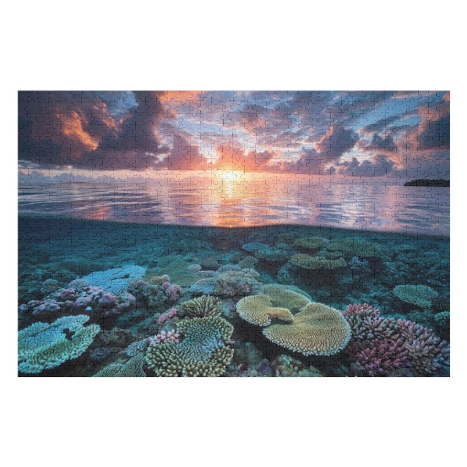 Puzzles for Adults 1000 Pieces - Stunning Coral Reef Comes Alive With ...