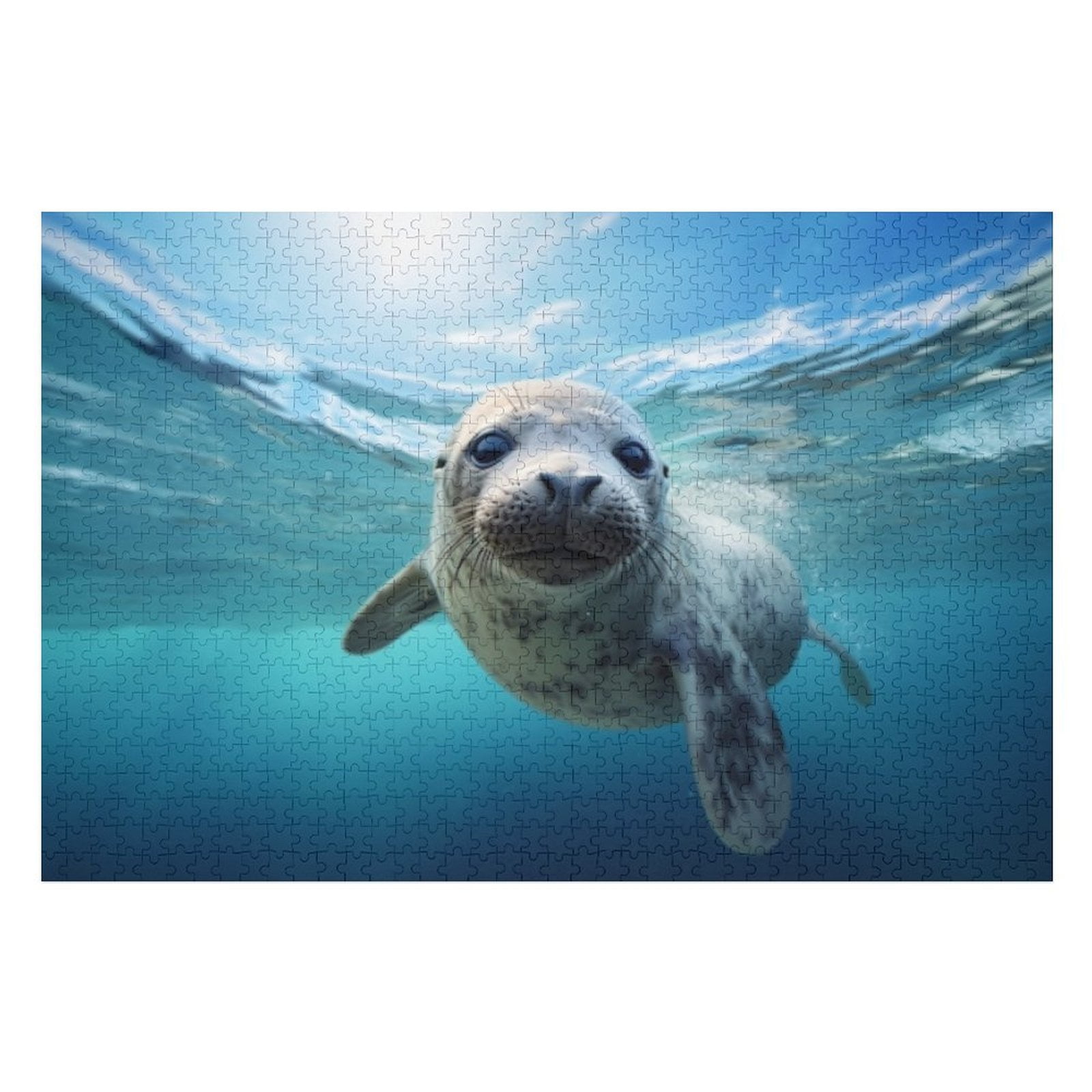 Puzzles for Adults 1000 Pieces - An Underwater Scene Of A Seal Best ...