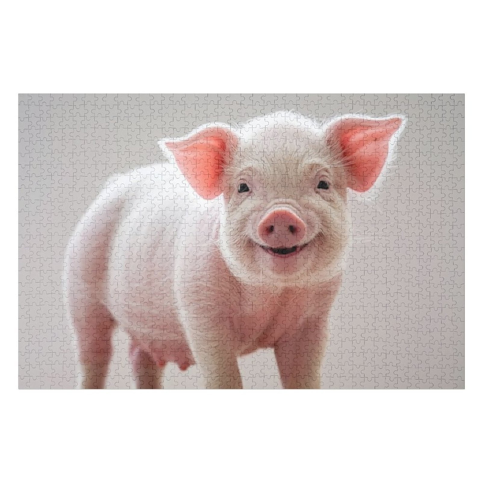 Puzzles for Adults 300 Pieces - Smiling Piglet Cute Animal Challenging ...