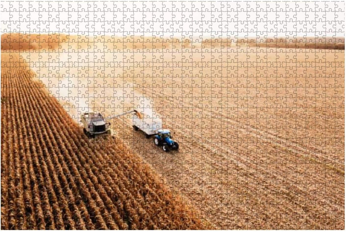 Puzzles For Adults 1000 Pieces Funny Panoramic View Of Ripe Fields At ...