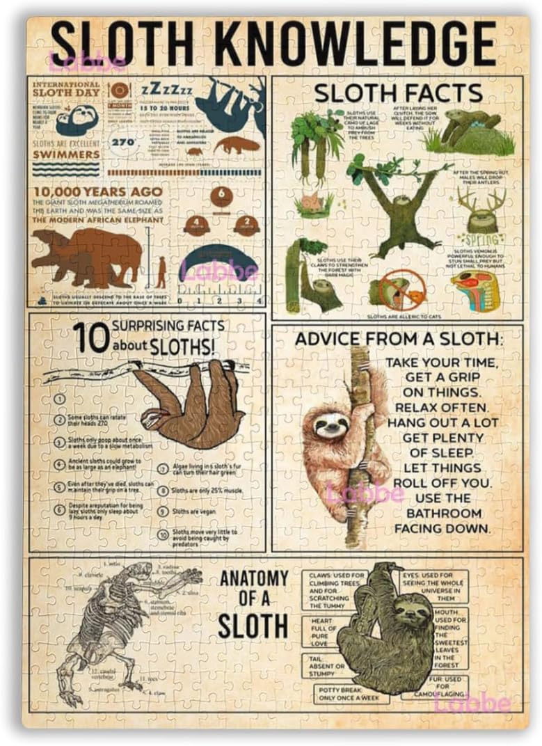 Puzzles for Kids Sloth Knowledge Types of Sloths Poster Animal Sloth ...