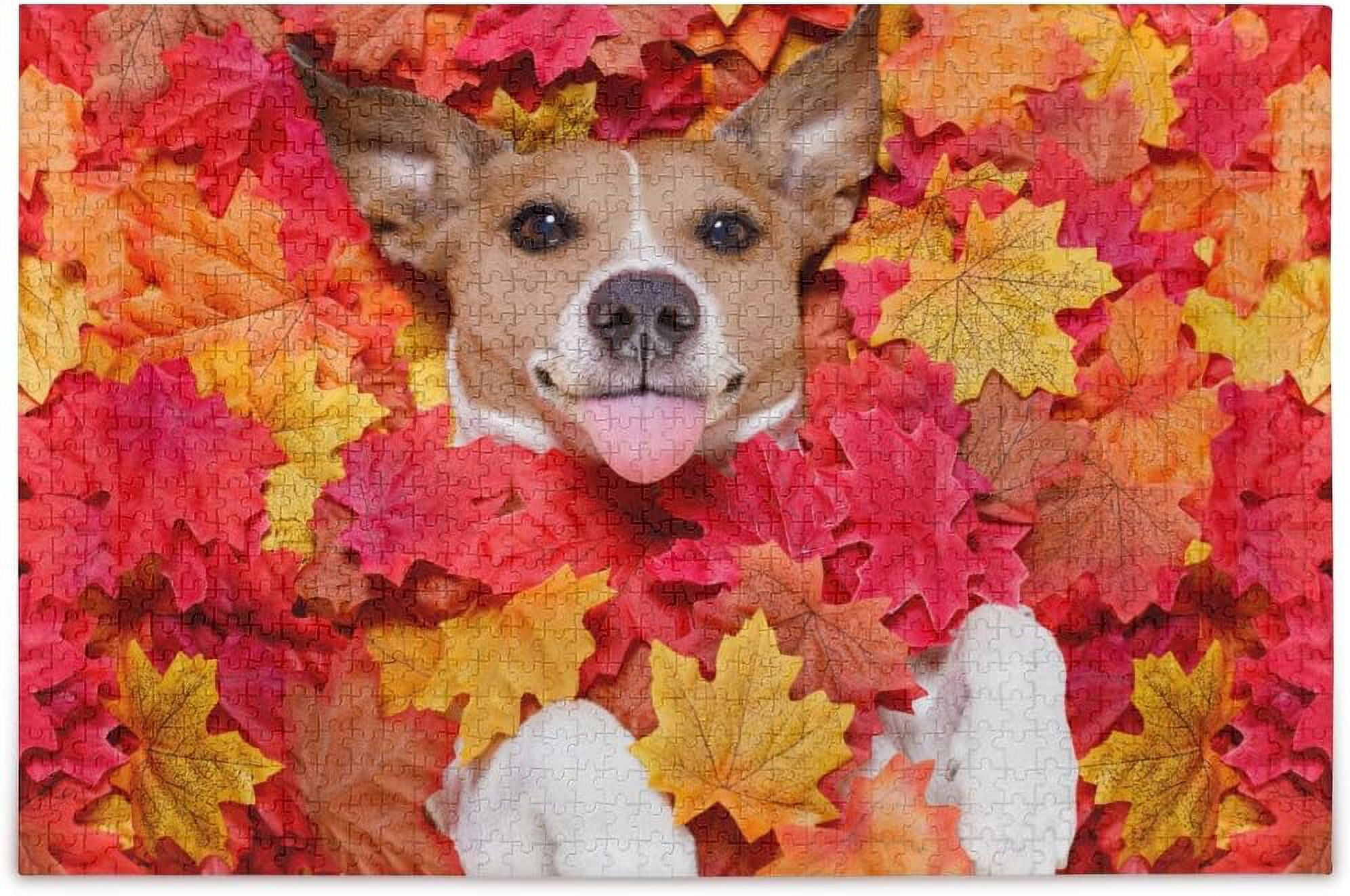 Puzzles for Adults 1000 Piece Autumu Leaves Cute Animal Dog Jigsaw ...