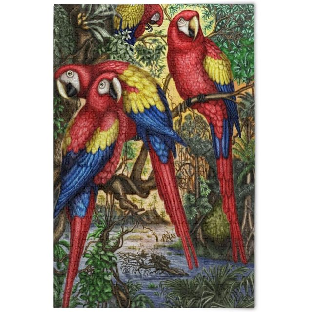 Puzzles for Adults 1000 Piece Oil Painting Macaw Parrots Jigsaw Puzzles ...