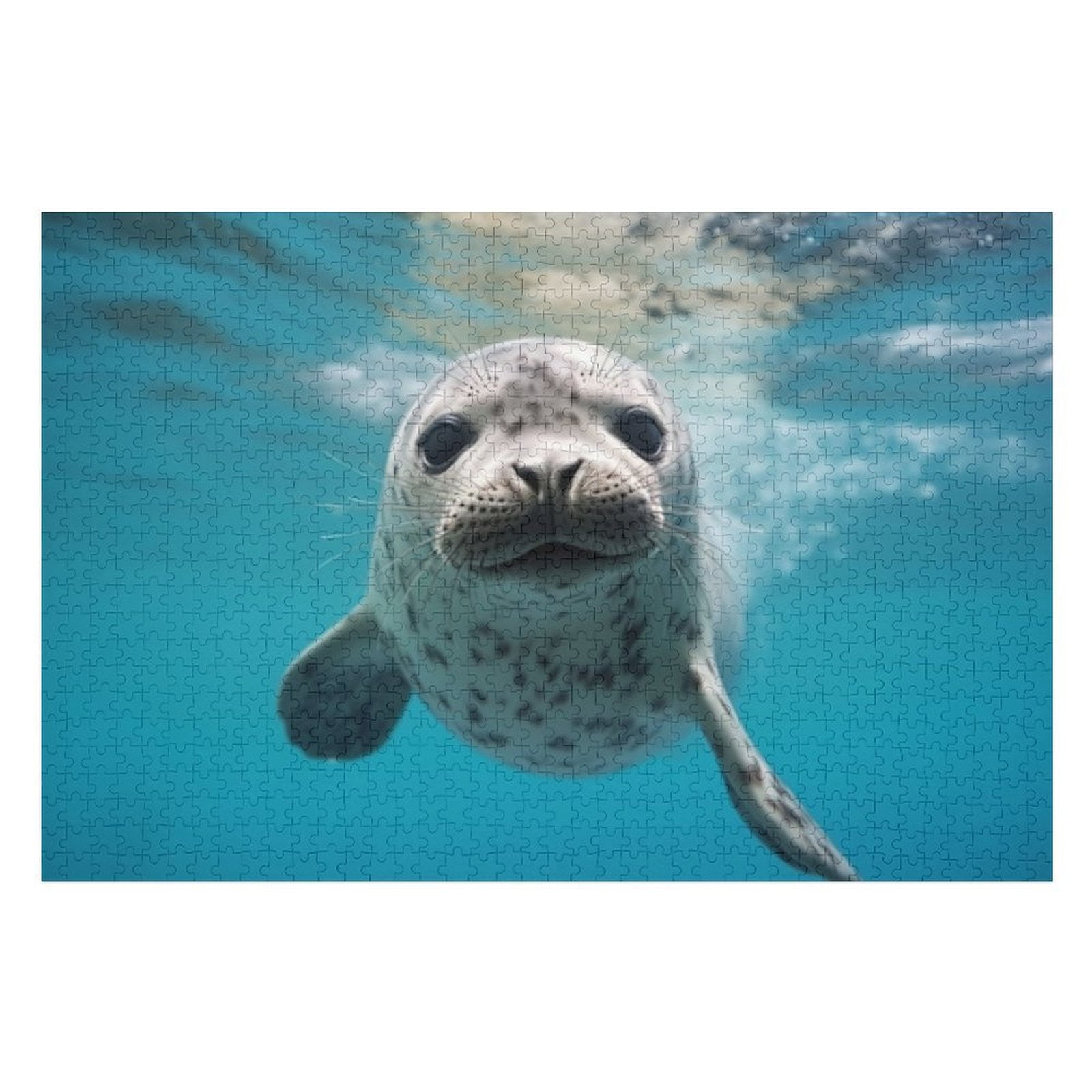 Puzzles for Adults 1000 Pieces - An Underwater Scene Of A Seal Perfect ...