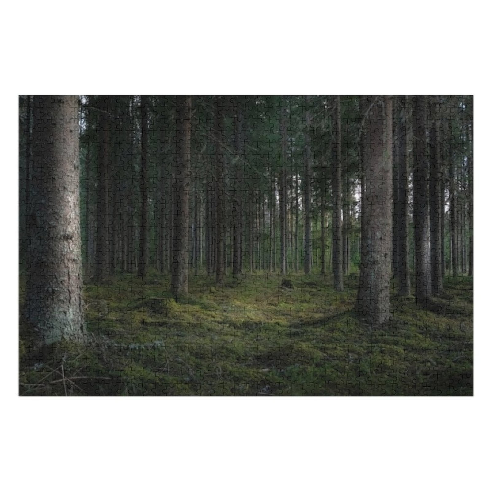 Puzzles for Adults 1000 Pieces - Beautiful Forest With Tall Green Trees ...