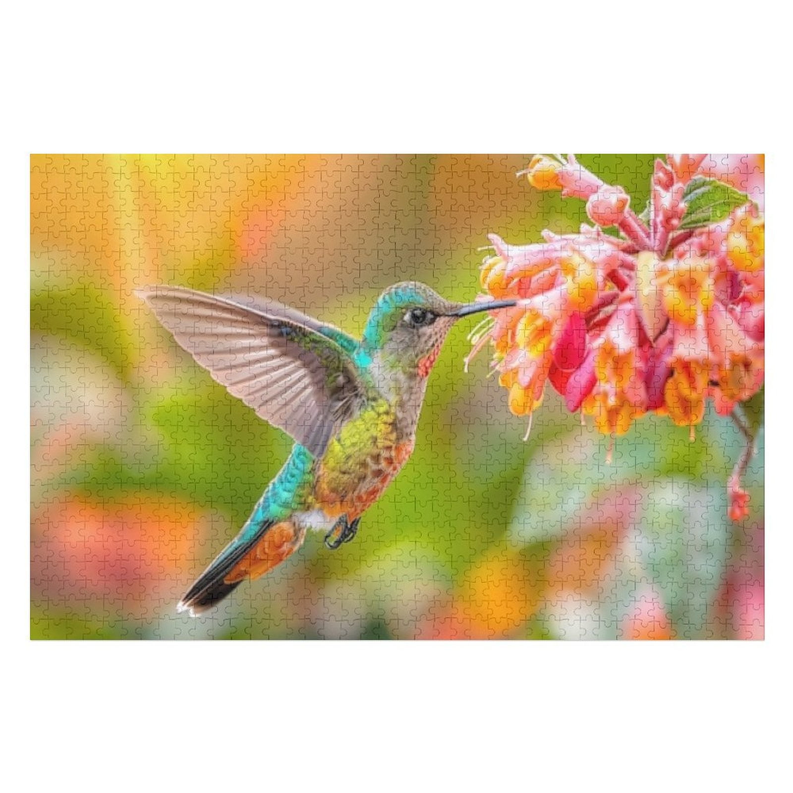 Puzzles for Adults 1000 Pieces - Colored Hummingbird Nature Funny ...