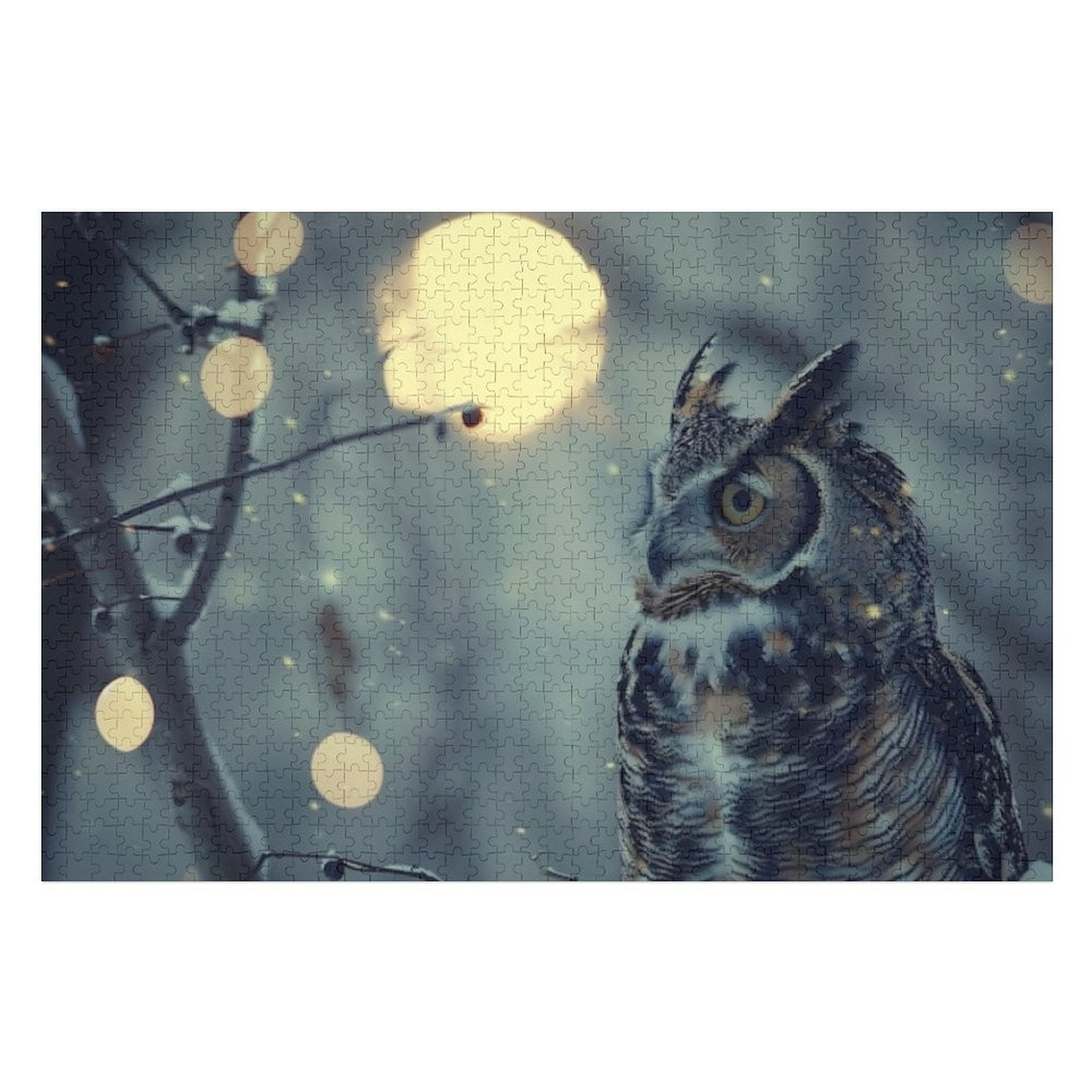 Puzzles for Adults 1000 Pieces - Owl Cold Environment With Dreamy ...