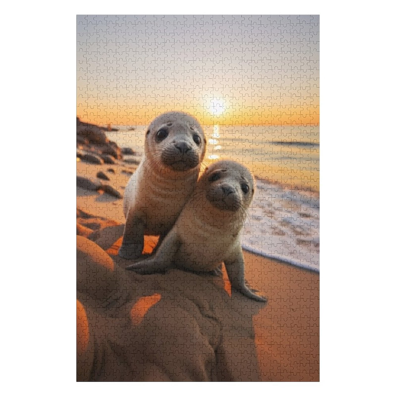 Puzzles for Adults 1000 Pieces - Seals Funny Boxed Puzzles,Challenging ...