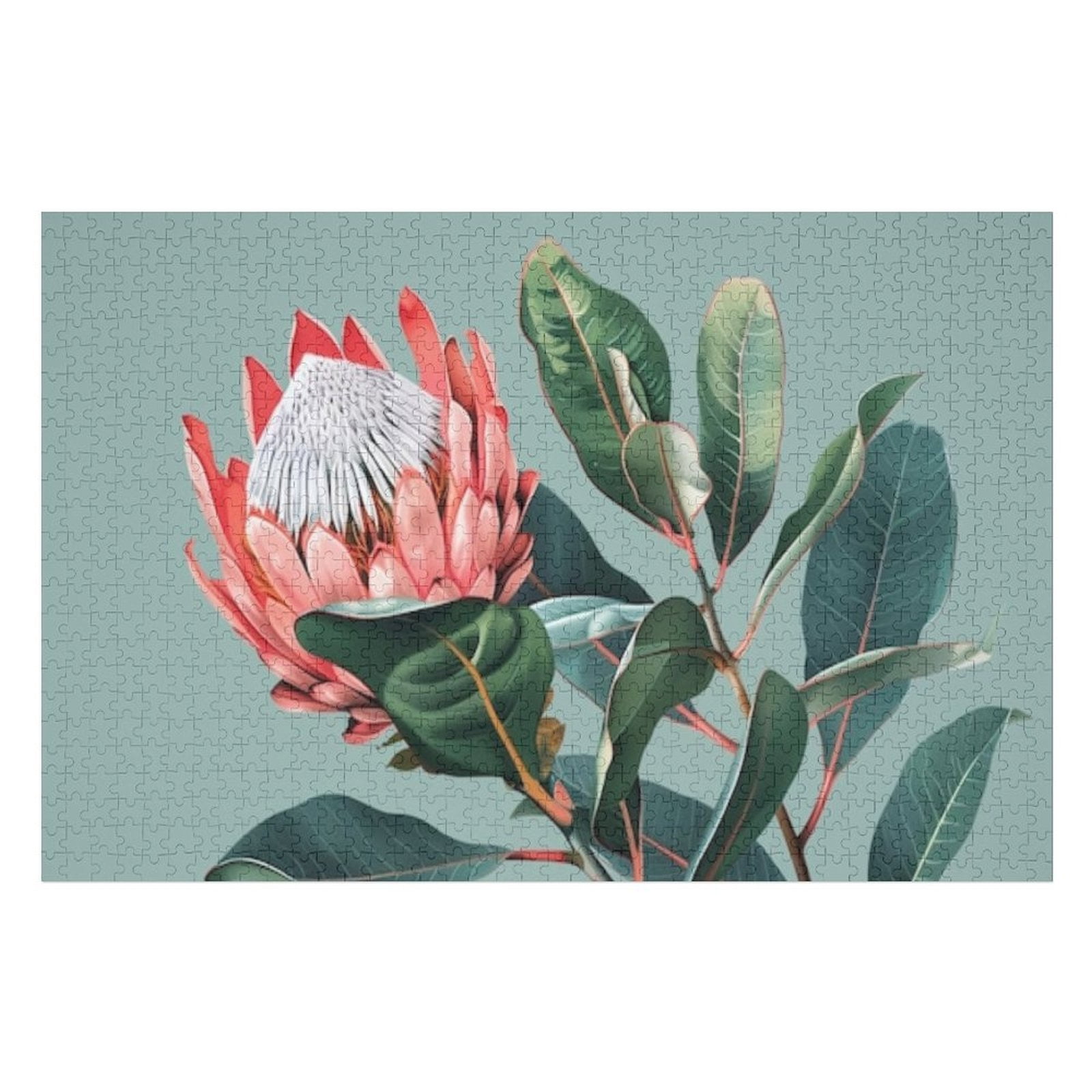Puzzles for Adults 300 Pieces - Protea Flower With Vibrant Bloom Funny ...