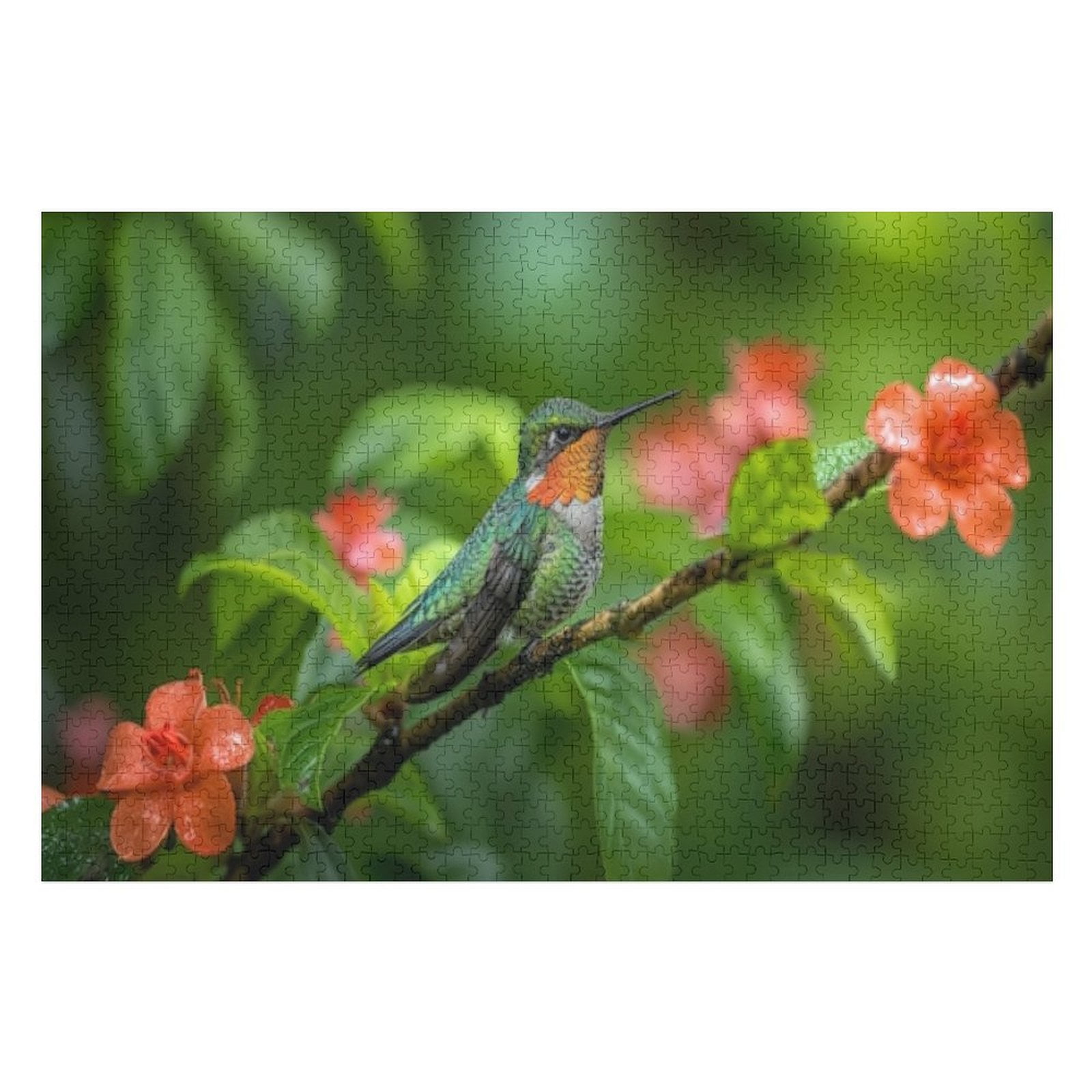 Puzzles for Adults 500 Pieces - Beautiful Hummingbird Its Natural ...