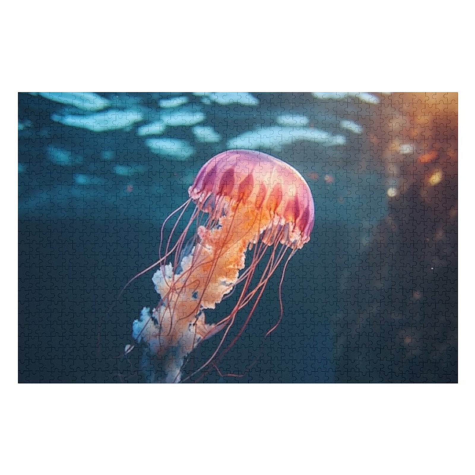 Puzzles for Adults 500 Pieces - Beautiful Jellyfish Swimming Ocean ...