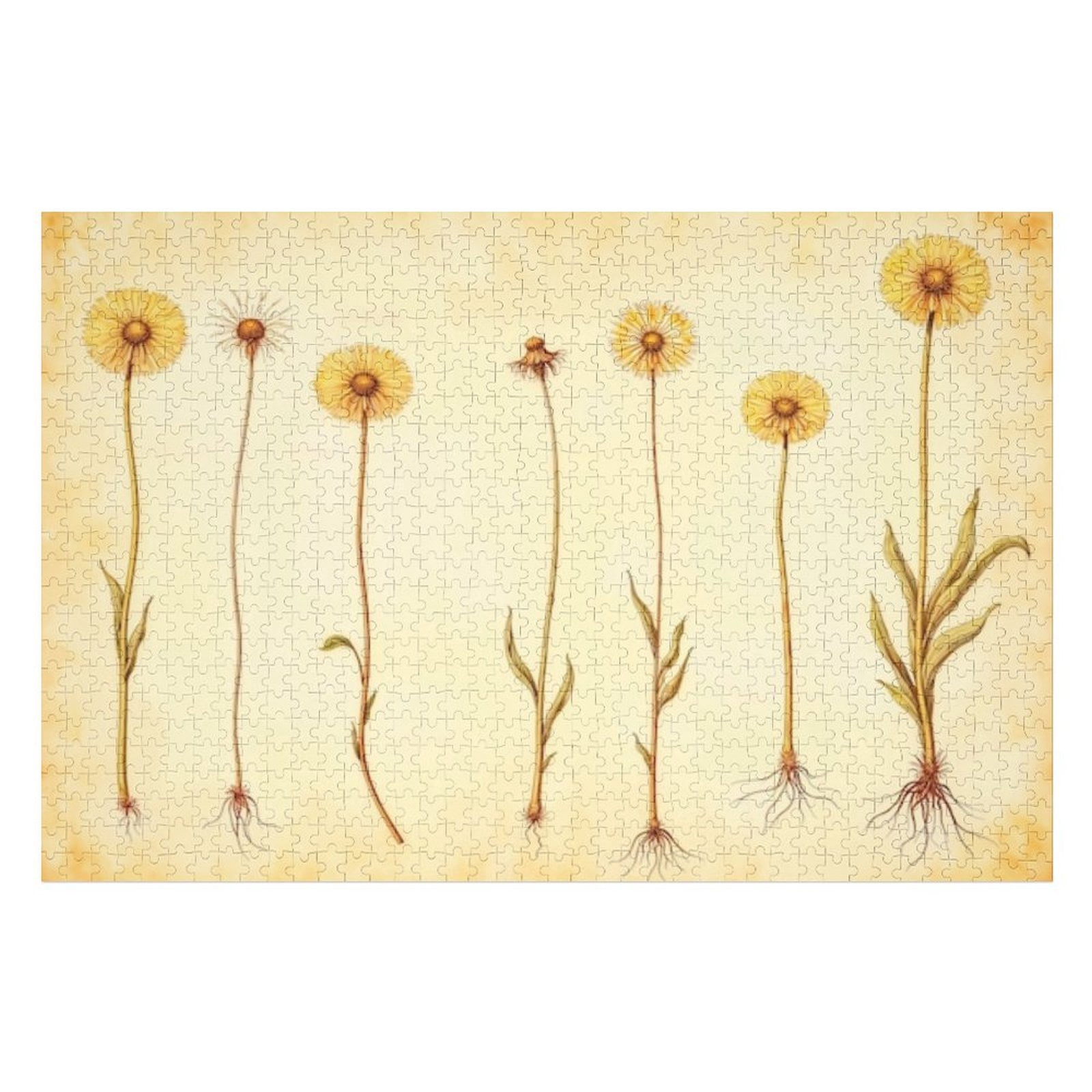 Puzzles for Adults 500 Pieces - Botanical Herbs Funny Puzzle ...