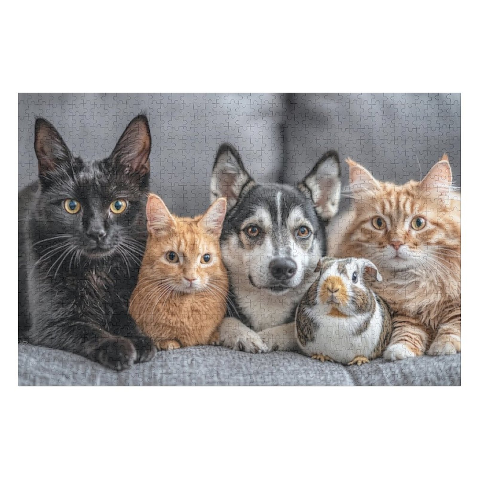 Puzzles for Adults 500 Pieces - Dog Cat Are Couch With Cat Mouse Funny ...
