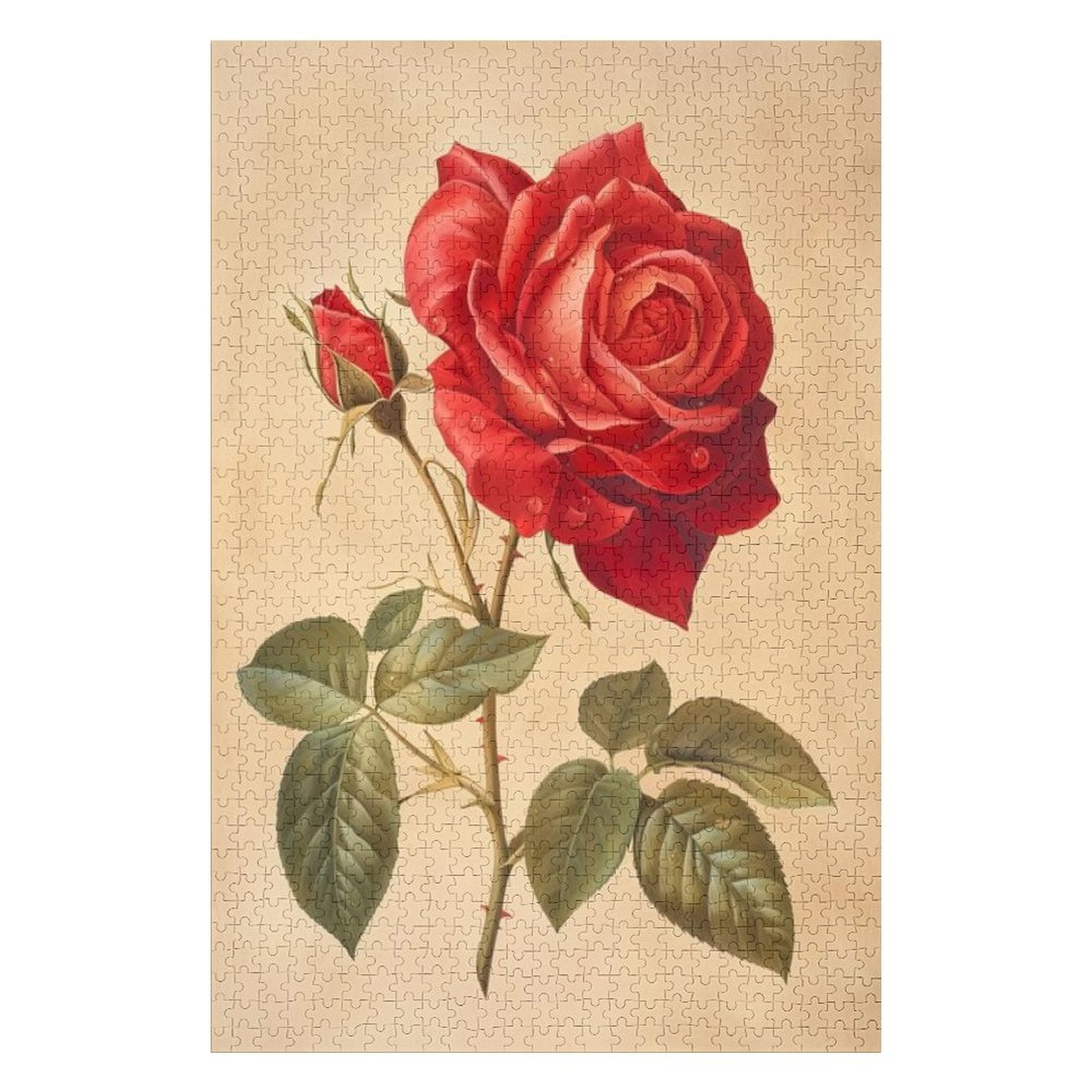 Puzzles for Adults 500 Pieces - Vintage Rose Funny Puzzles Poster ...