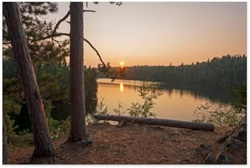 Puzzles for Adults Funny Setting Woods - Large Puzzle Game Artwork for ...