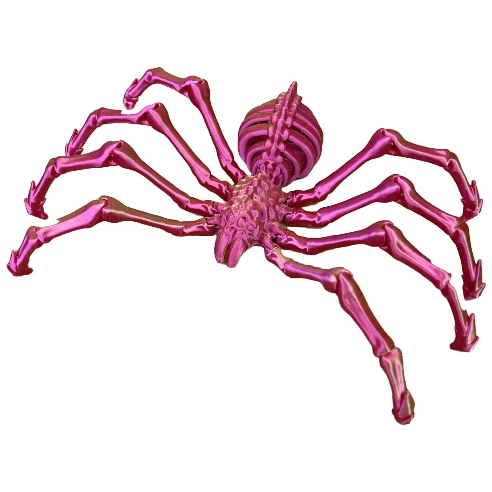 Pyaiiner Halloween Realistic Spider Skeleton Wolf Spider Joint Movable ...