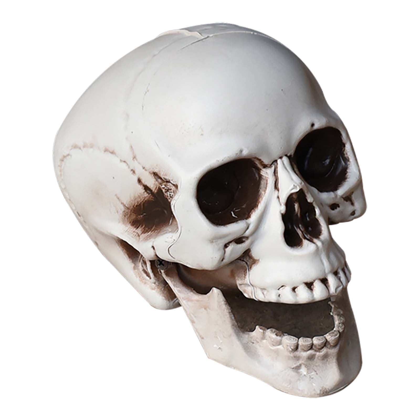 Pyaiiner Halloween Skeleton Decor Simulation Human Skull HeadBone Model ...