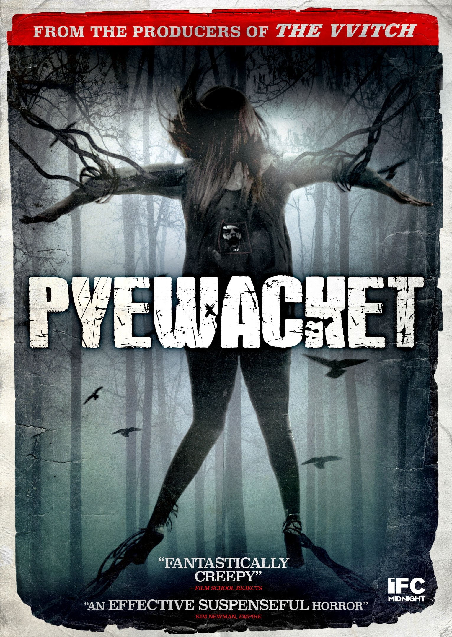 Pyewacket (DVD) - Walmart.com
