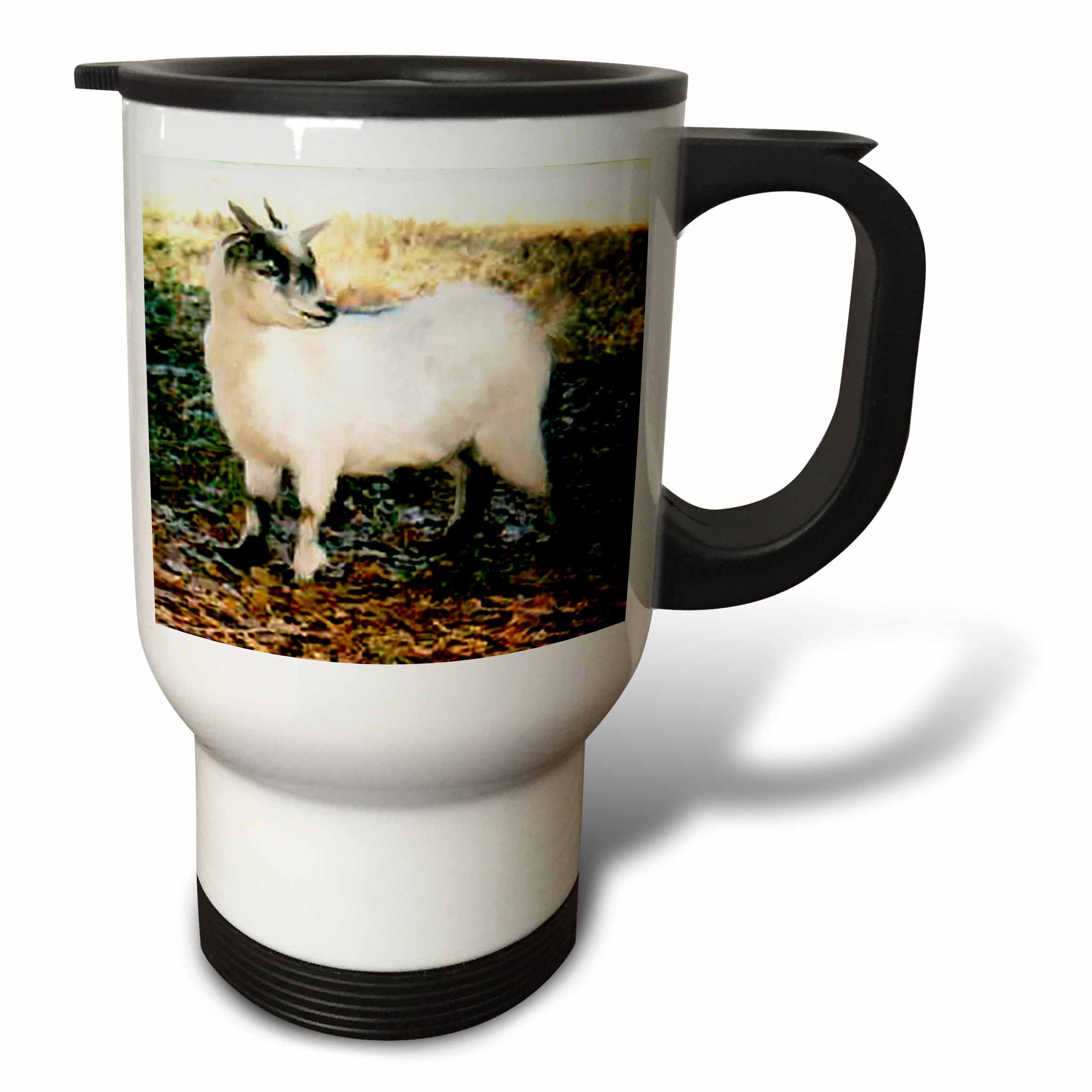 3dRose, Pygmy Goat, 14oz Stainless Steel Travel Mug - Walmart.com