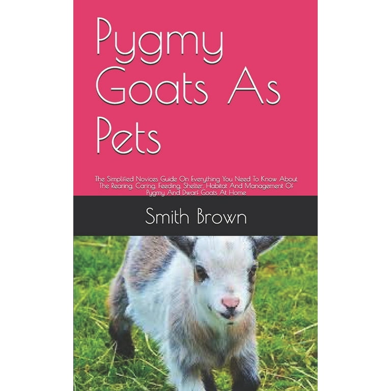 Pygmy Goats As Pets
