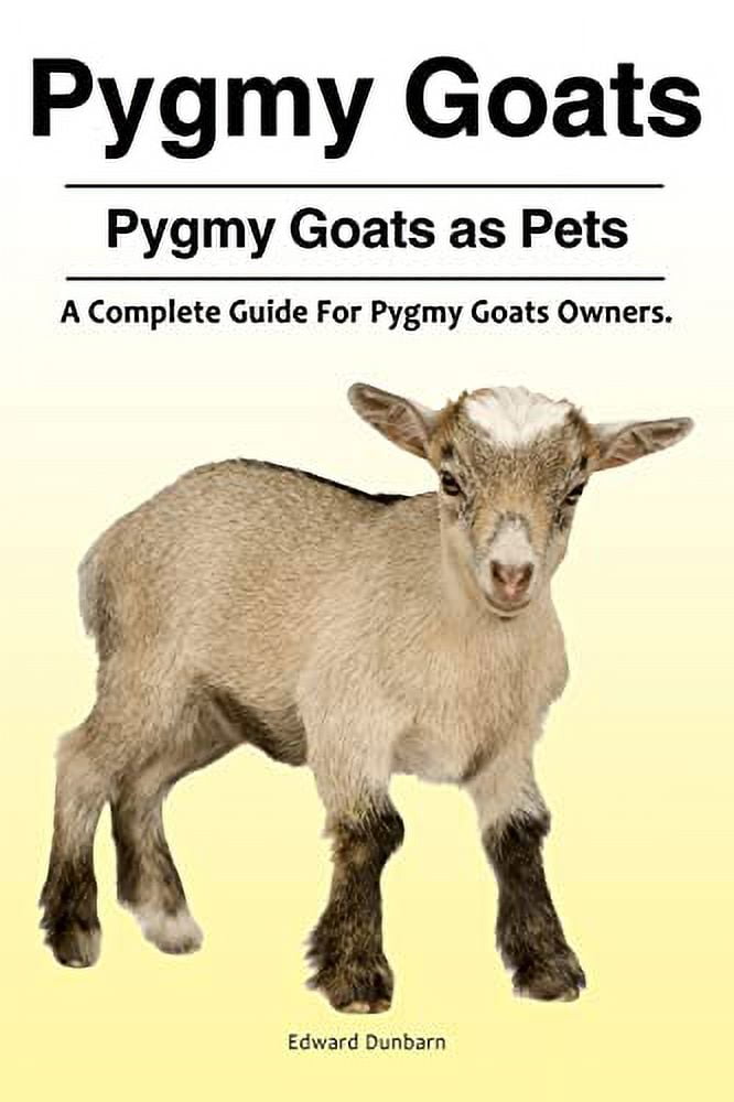 Pygmy Goats Pets