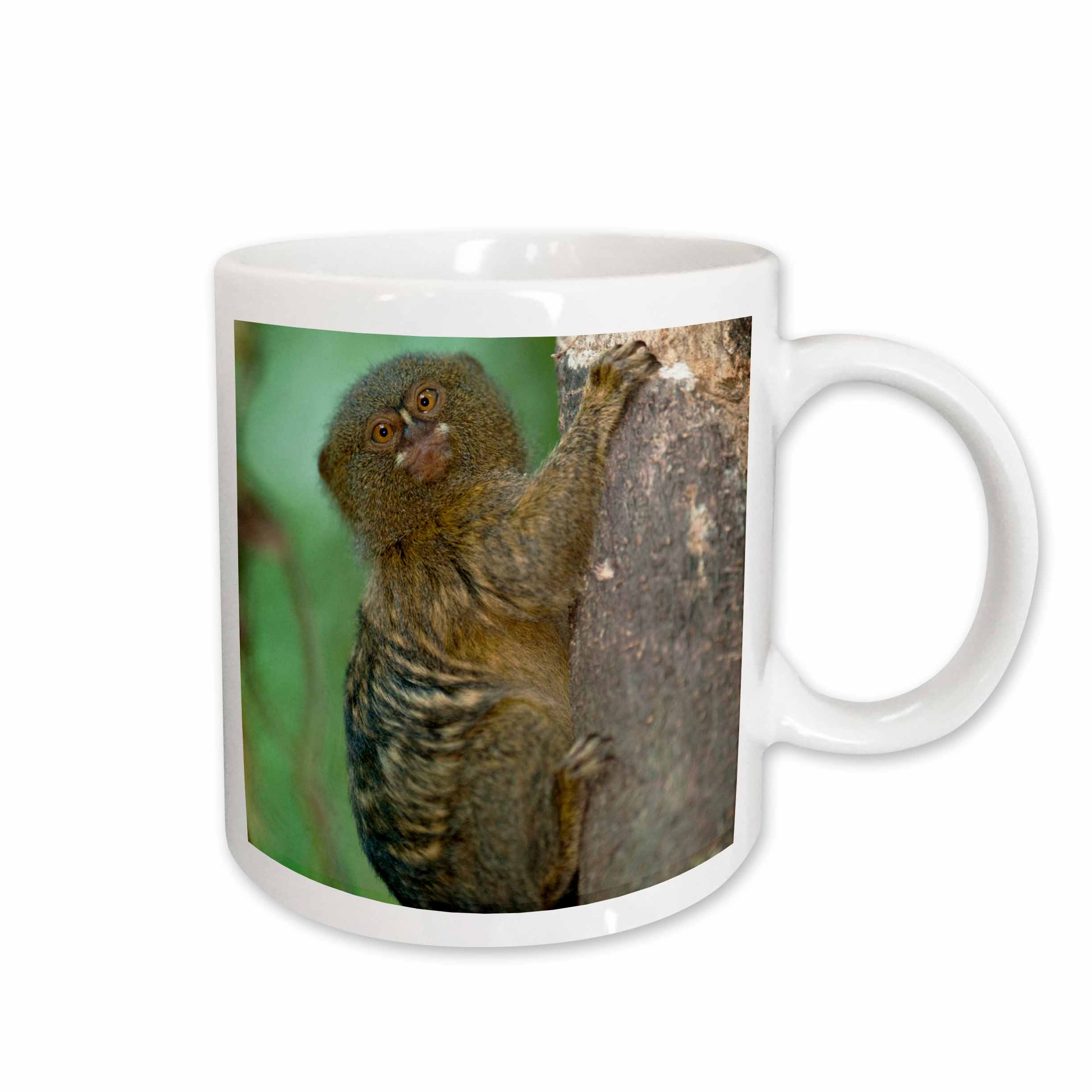 Pygmy Marmoset, Napo River, Yasuni, Amazon, Ecuador - SA07 POX2038 - Pete Oxford 11oz Mug mug ...