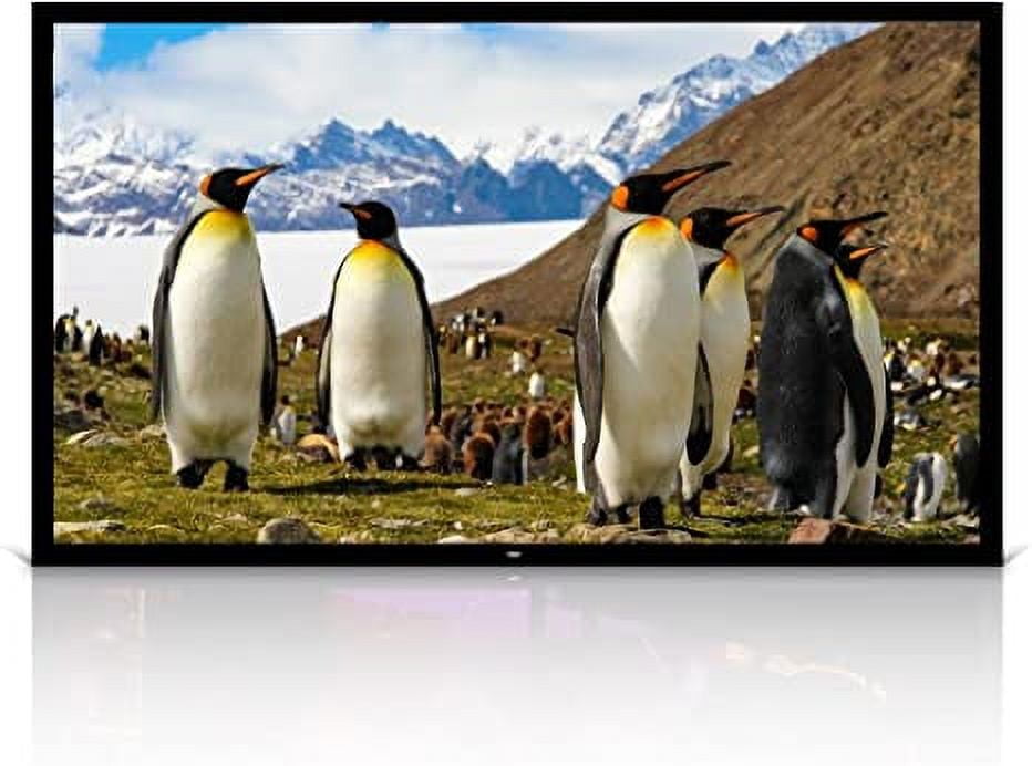 Pyle 110" Matt White Home Theater TV Wall Mounted Fixed Flat Projector ...