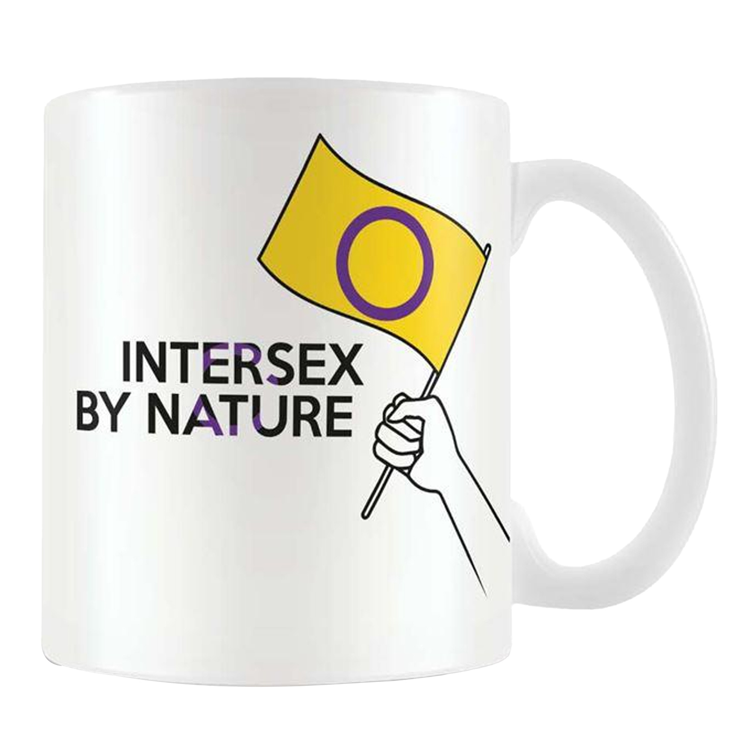 Pyramid International Intersex Mug - Walmart.com