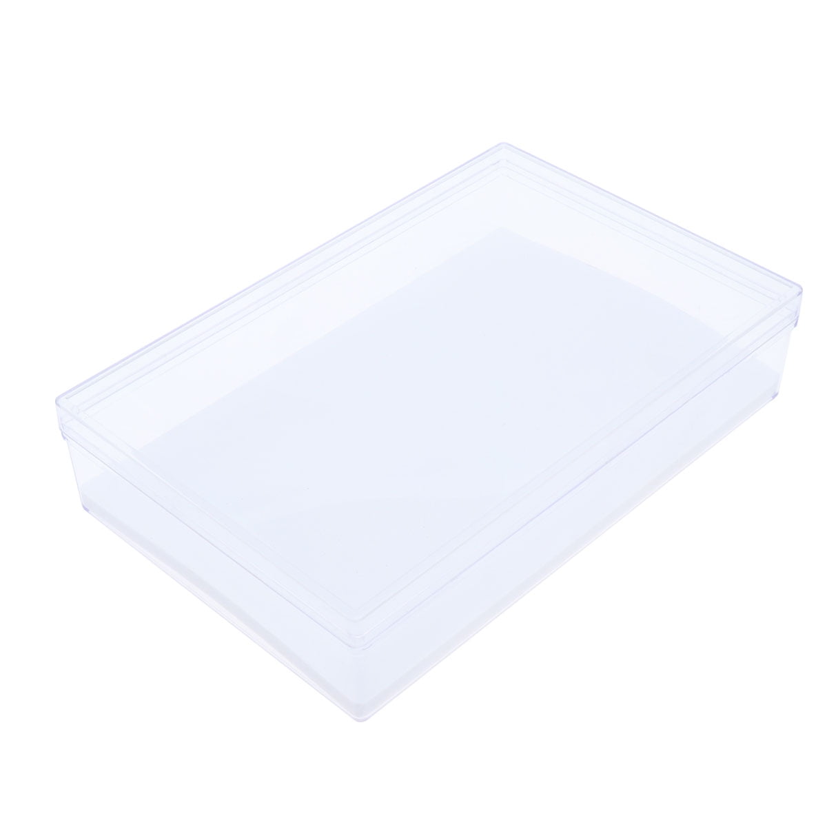 Pyramidti Wasp Clear Bins with Lids Insect Presentation Cage ...