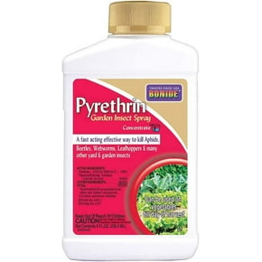 Pyrethrin Insecticide Products