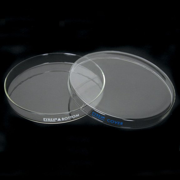 Petri Dish