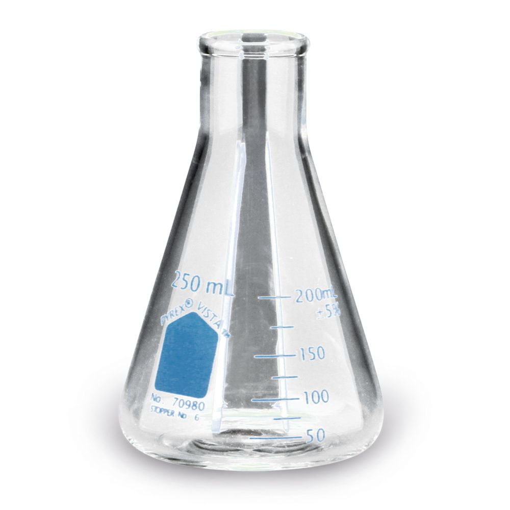 Pyrex Vista Erlenmeyer Flask, 250 Ml, Pack Of 12 - Walmart.com