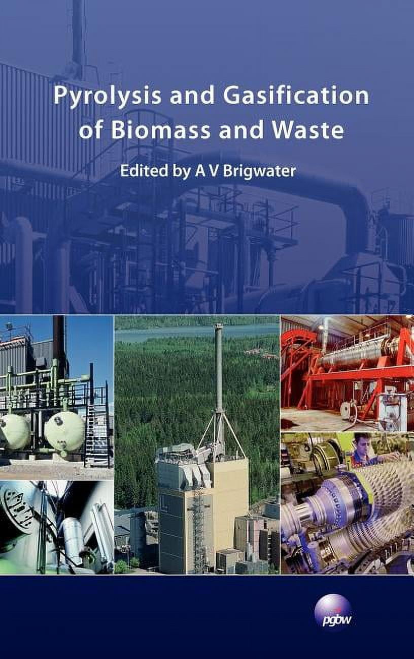 Pyrolysis and Gasification of Biomass and Waste (Hardcover) - Walmart.com