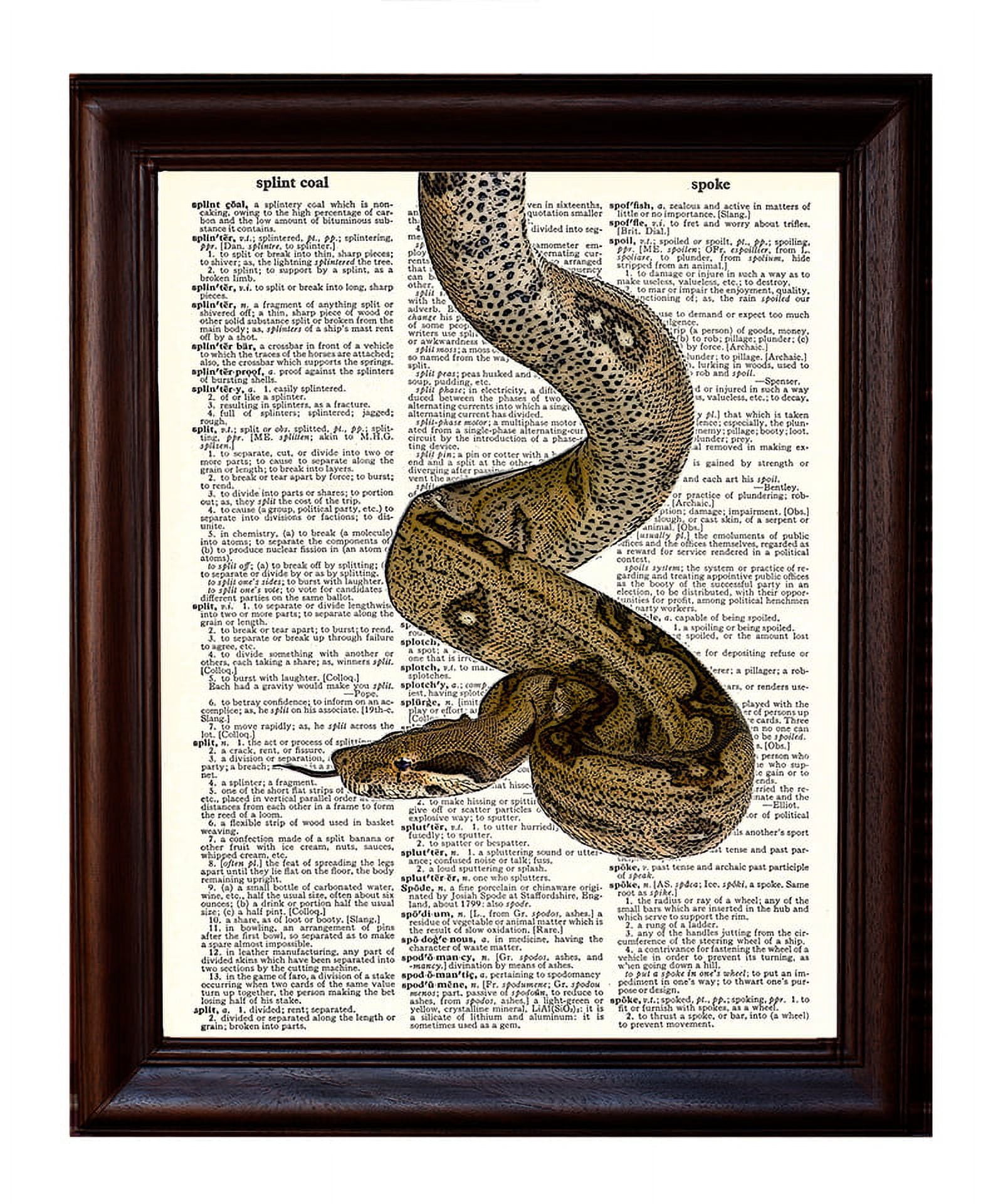 Python - Dictionary Art Print Printed On Authentic Vintage Dictionary ...