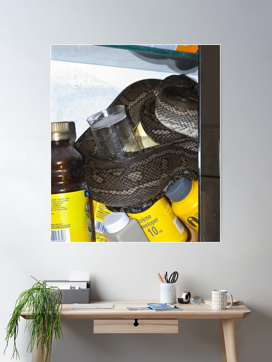 Python In Bathroom #1 Poster Wall Art, Modern Wall Decor For Living ...
