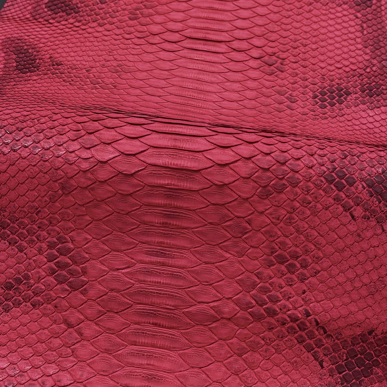 Python Matte Snake Red with Black Spots Short Tail Back Cut - Walmart.com