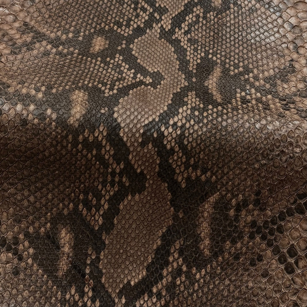 Python Matte Snake Taupe Front Cut Long Tail - Walmart.com
