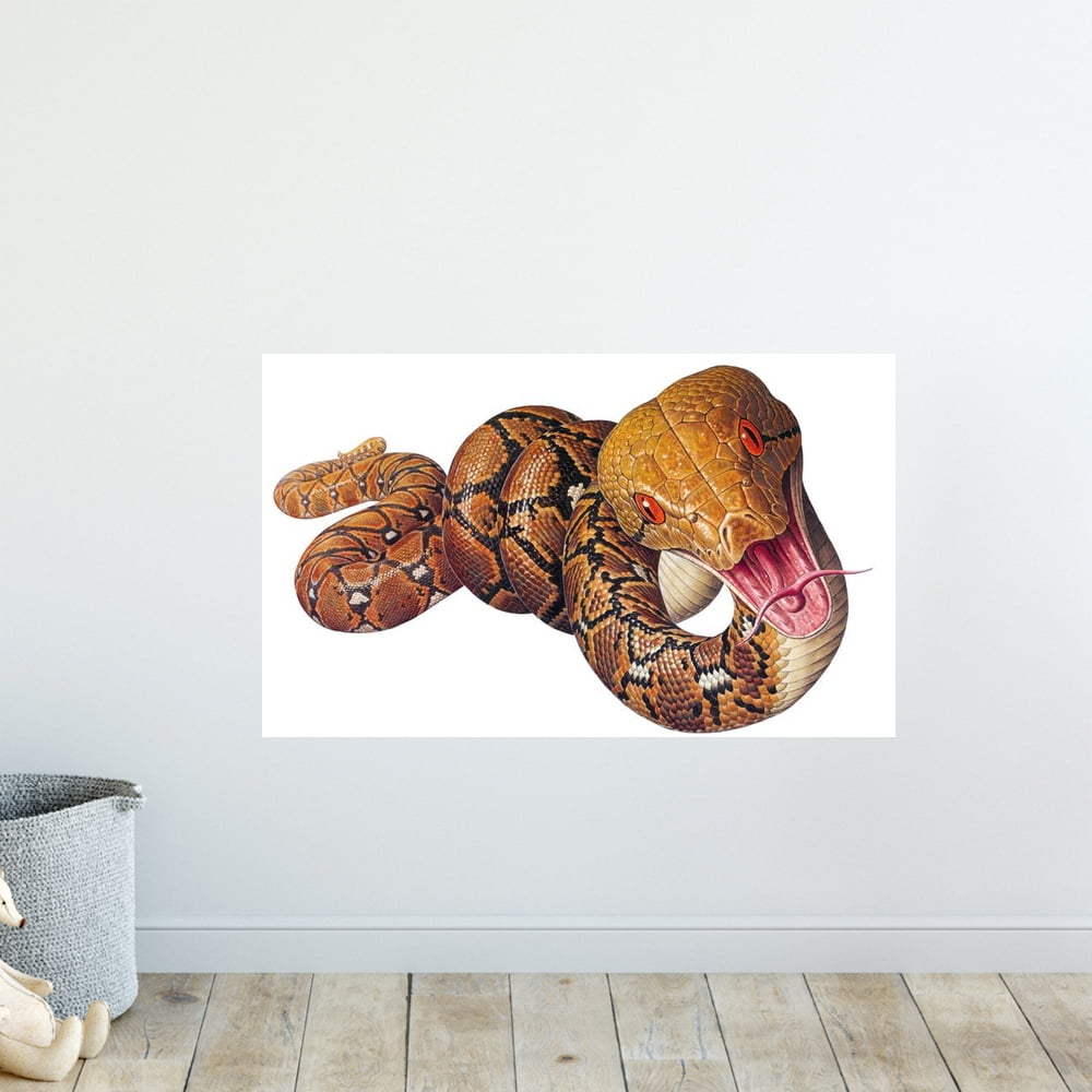 Python Reticulatus Wall Decal Sticker, Wallmonkeys Peel & Stick Vinyl ...