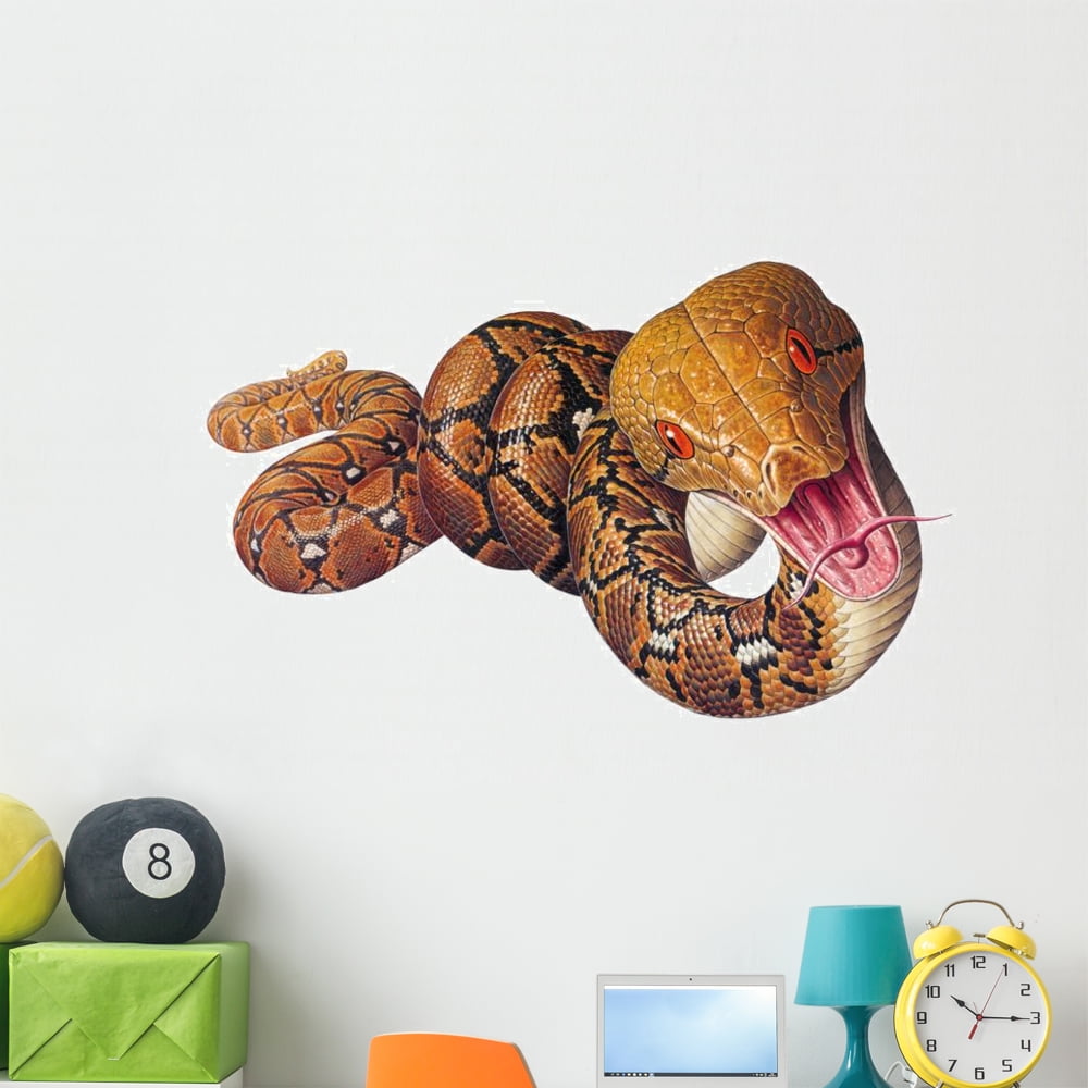 Python Reticulatus Wall Decal Sticker, Wallmonkeys Peel & Stick Vinyl ...