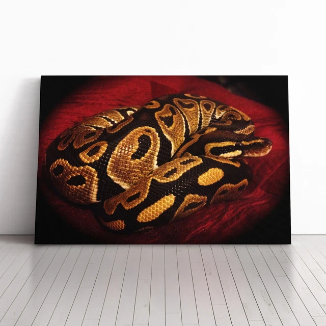Python Snake Picture Decor Living Room Bedroom Poster UNFRAMED PAPER ...