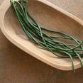 Python Yard Long Bean Seeds for Planting (20 Seeds) - Walmart.com