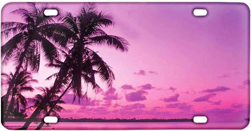 Pzz Beach Hawaiian Style Car Decoration License Plate Metal Car Plate ...