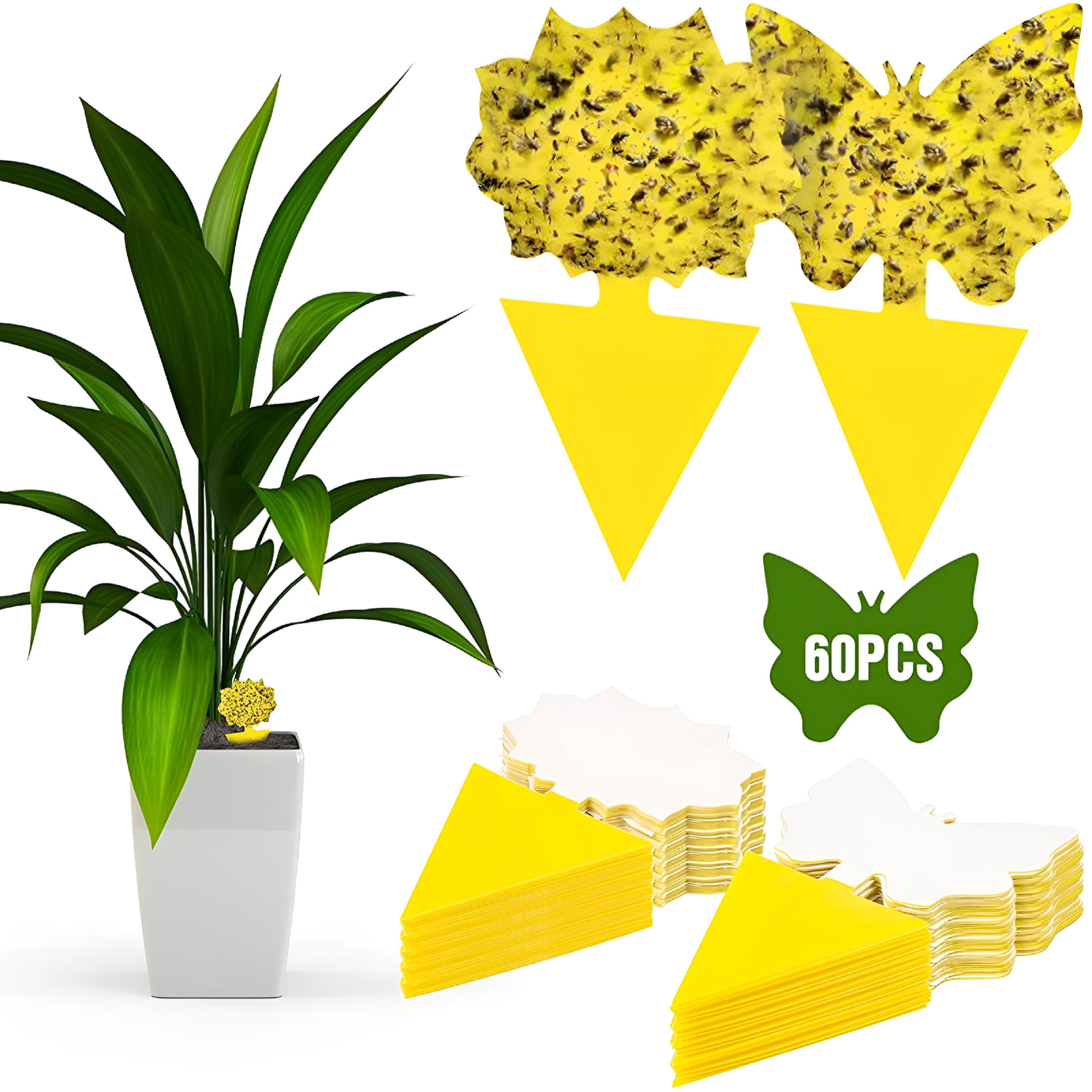 QARUN 60 Pack Plant Sticky Trap Fungus Gnat Traps Killer for Indoor and ...