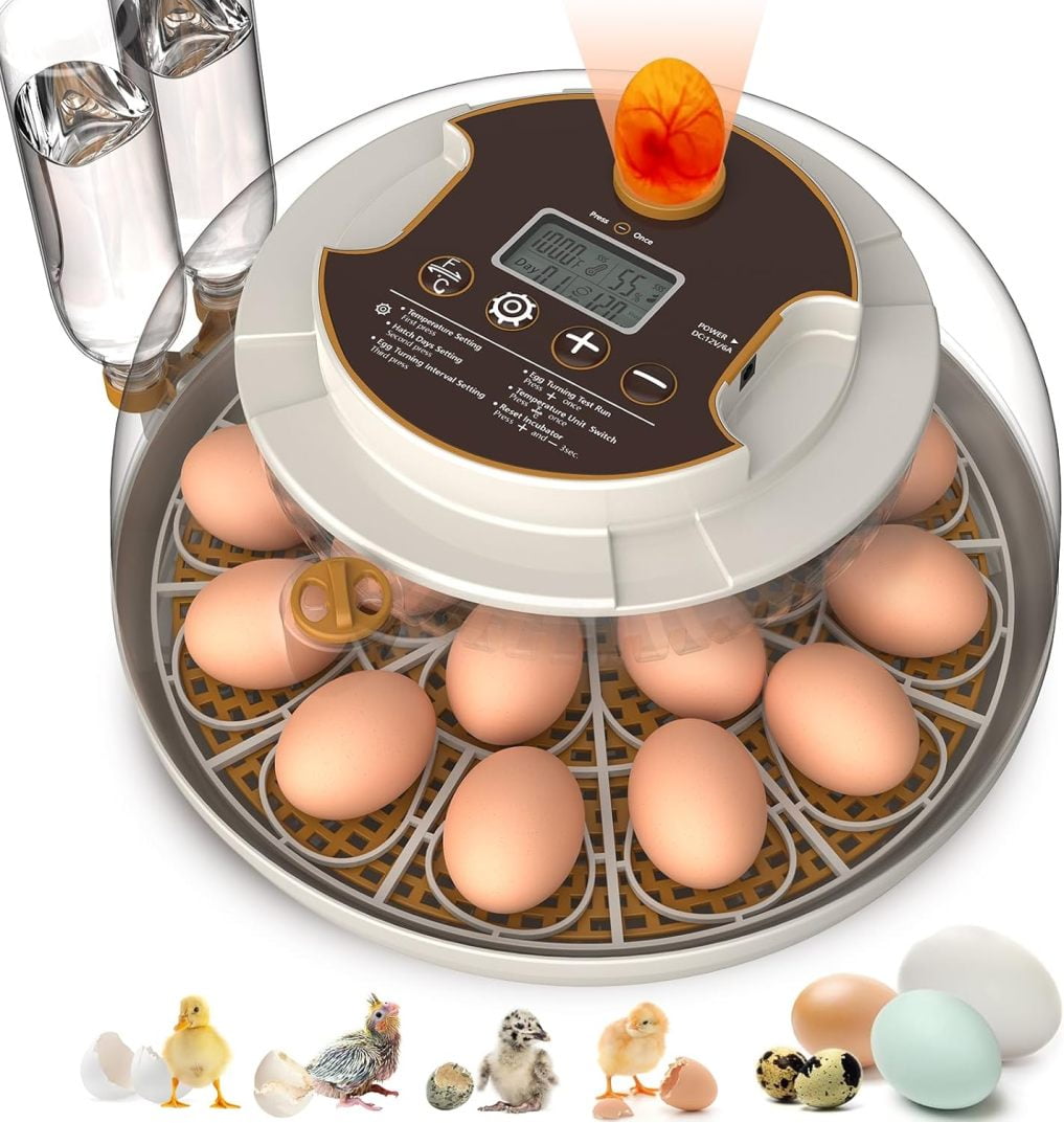 QATZ 18 Egg Incubator for Hatching Eggs, Egg Incubator with Automatic Egg Turning and Humidity ...